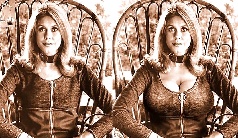 Elizabeth Montgomery Bewitched Porn Pictures Xxx Photos Sex Images