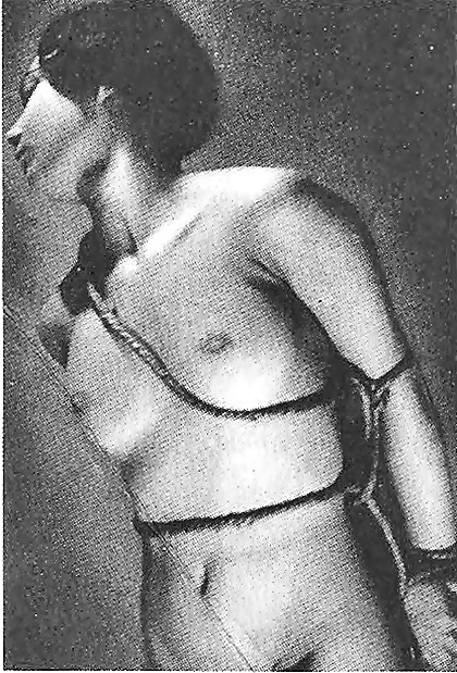 Pin Up Ii Porn Pictures Xxx Photos Sex Images 253467 Pictoa