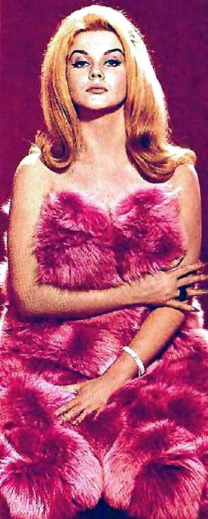 Women In Fur Porn Pictures Xxx Photos Sex Images 87148 Pictoa