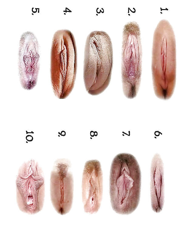 A Quoi Ressemble Ta Chatte Looks Like Your Pussy Porn Pictures Xxx Photos Sex Images 1980218