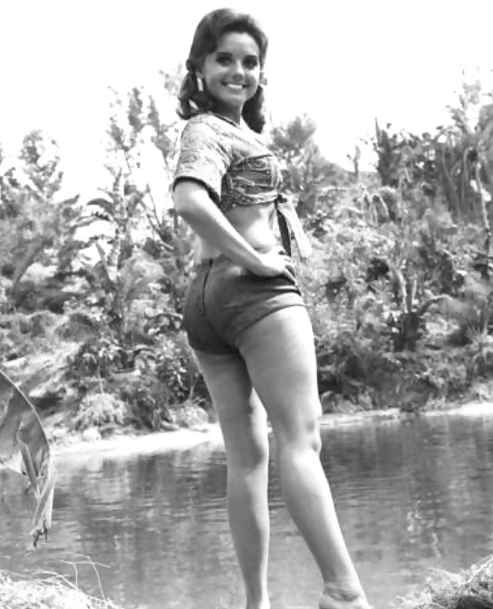 Dawn Wells Porn Pictures Xxx Photos Sex Images 1406817 Pictoa