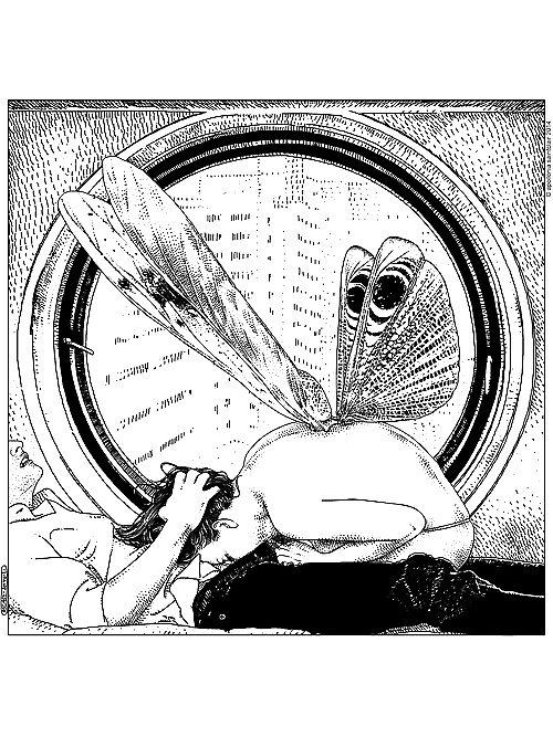 Apollonia Saintclair Porn Pictures Xxx Photos Sex Images 1385544