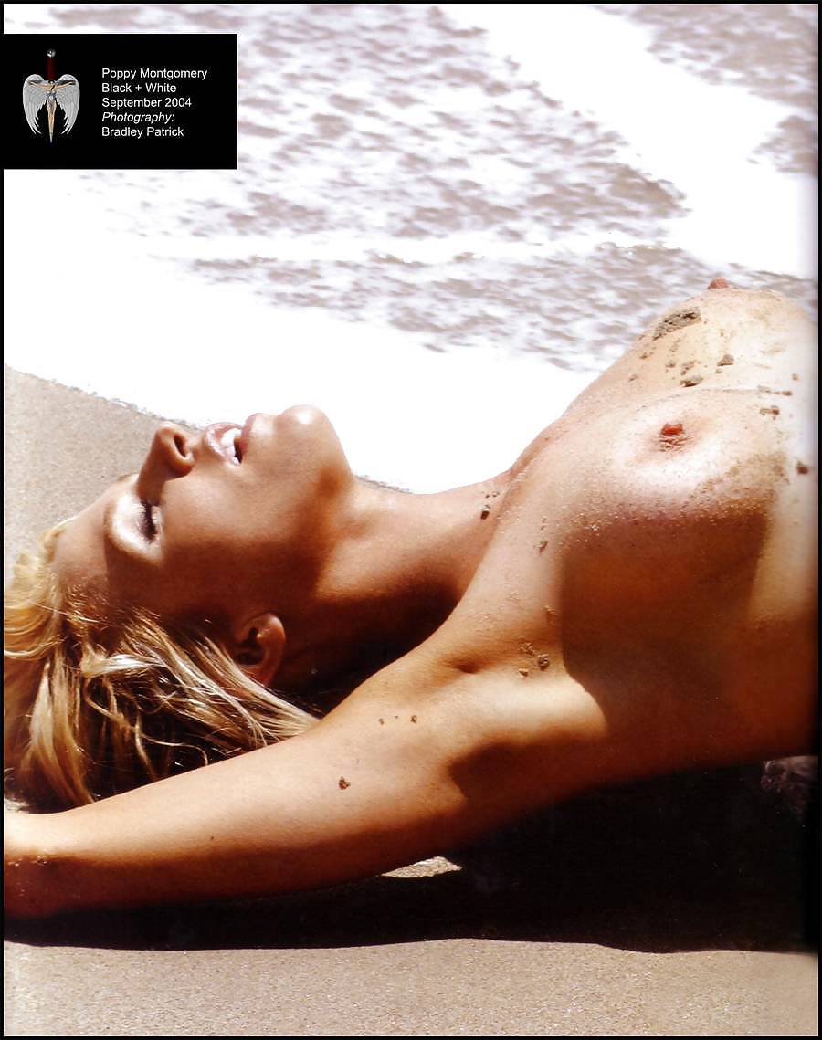 Poppy Montgomery Porn Pictures Xxx Photos Sex Images 1325616 Pictoa