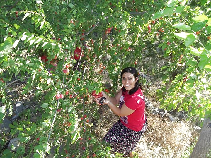 Turkish Hatice Porn Pictures Xxx Photos Sex Images 1862048 Pictoa
